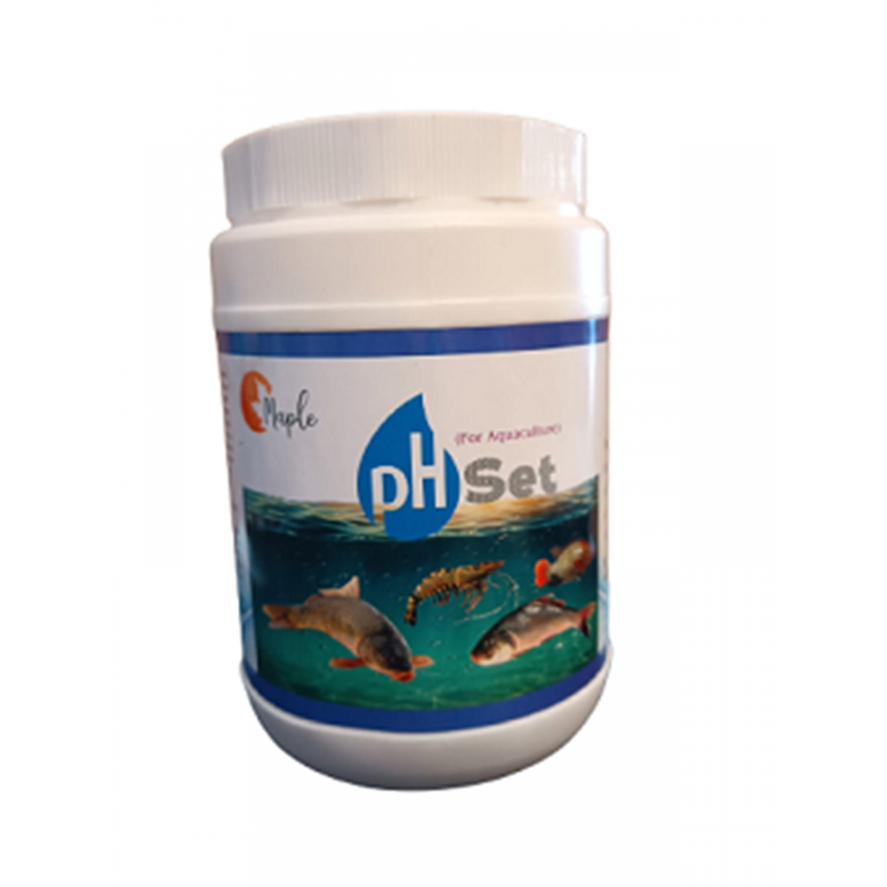 Maple Set PH – PH Balancer for Aquaculture Pond Ecosystems